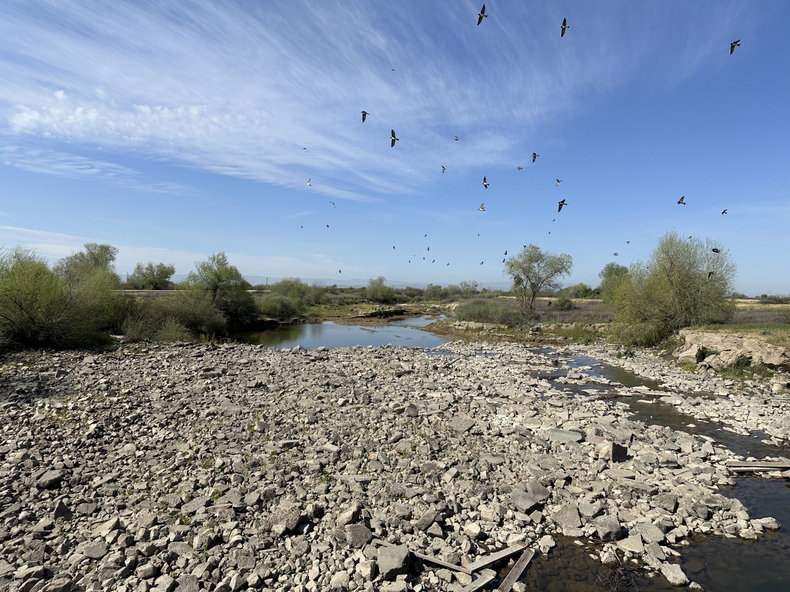 Date is set for hearing prompted by dead fish in the long meandering ...