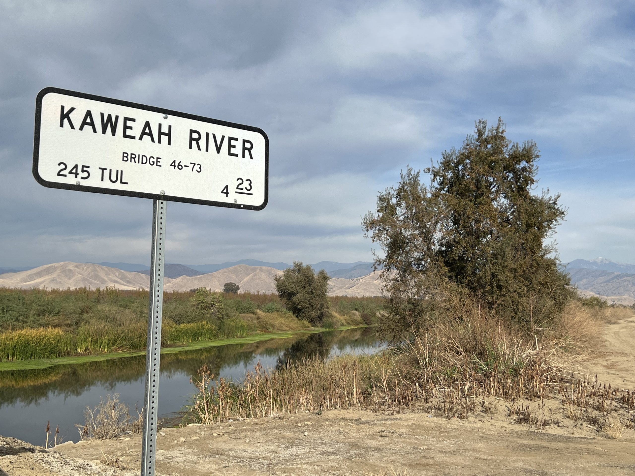 Fluctuating Kaweah River flows yield giant catches over Thanksgiving weekend – SJV Water