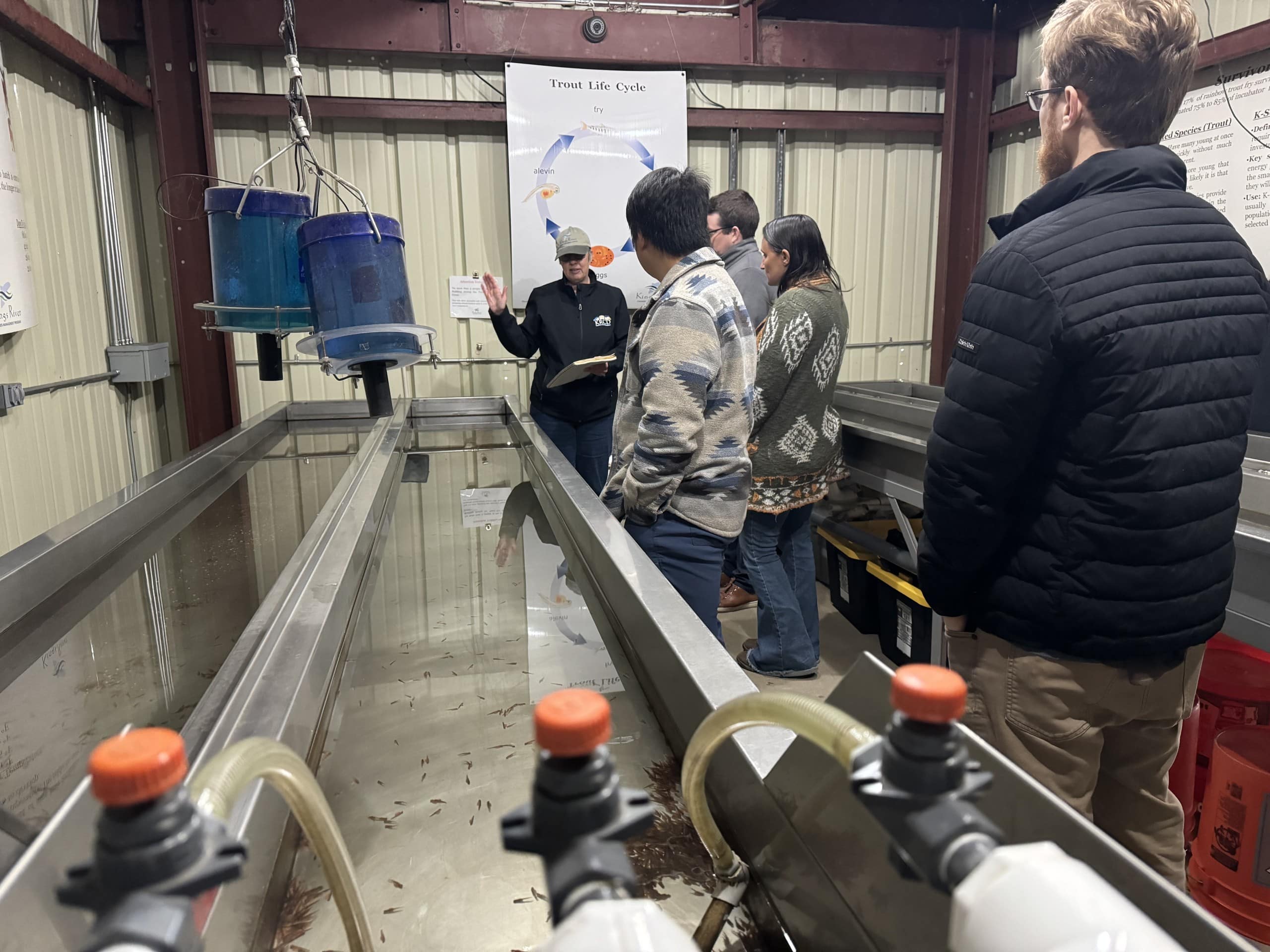 Volunteers needed to raise and release trout into the Kings River – SJV ...